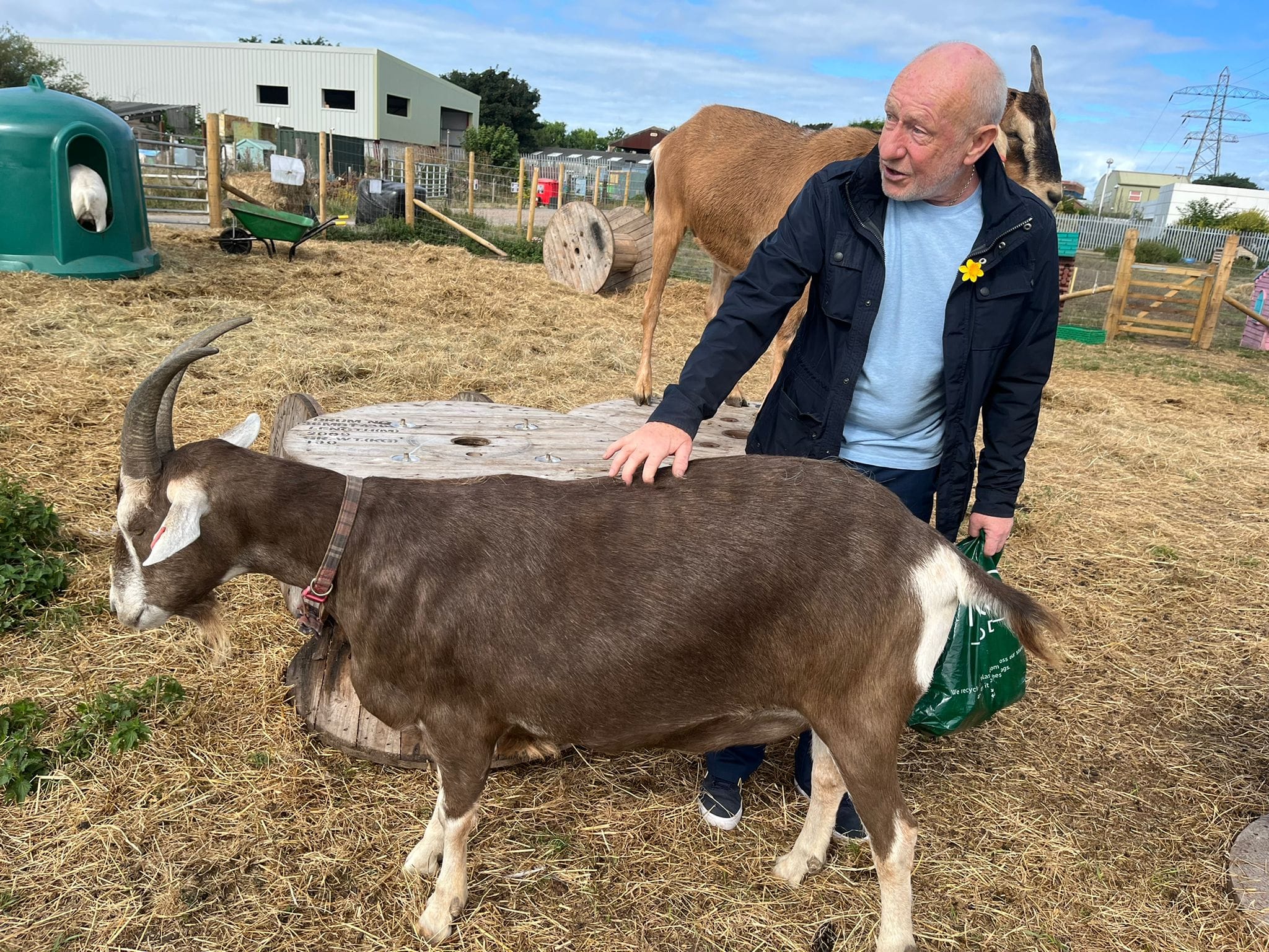 THE AMAZING WORK OF WHITEGATE ANIMAL SANCTUARY! - La Vida Liverpool