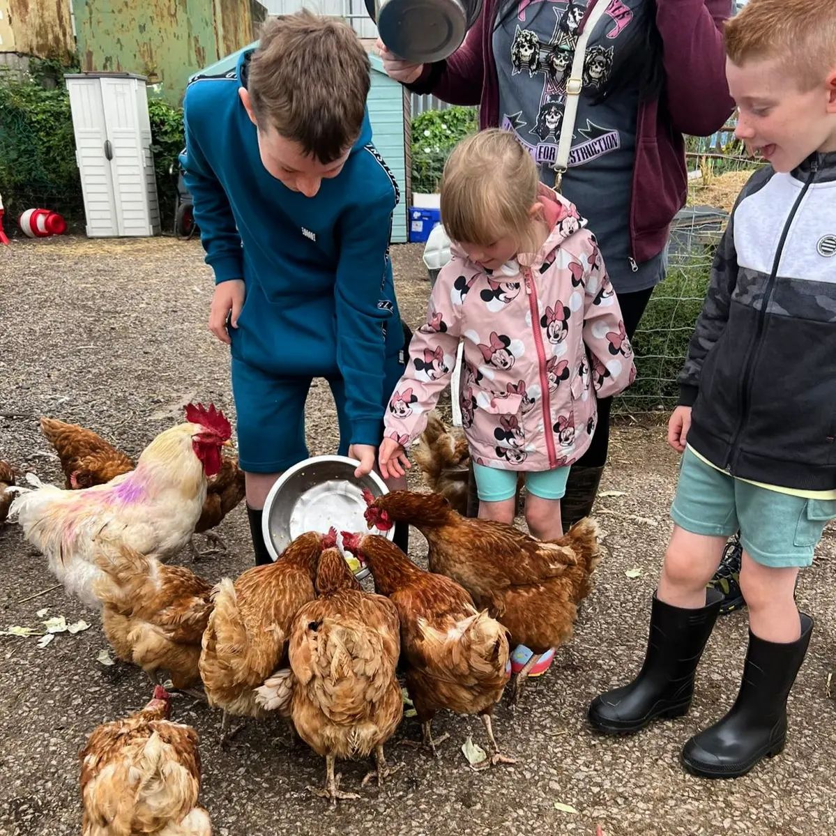 THE AMAZING WORK OF WHITEGATE ANIMAL SANCTUARY! - La Vida Liverpool