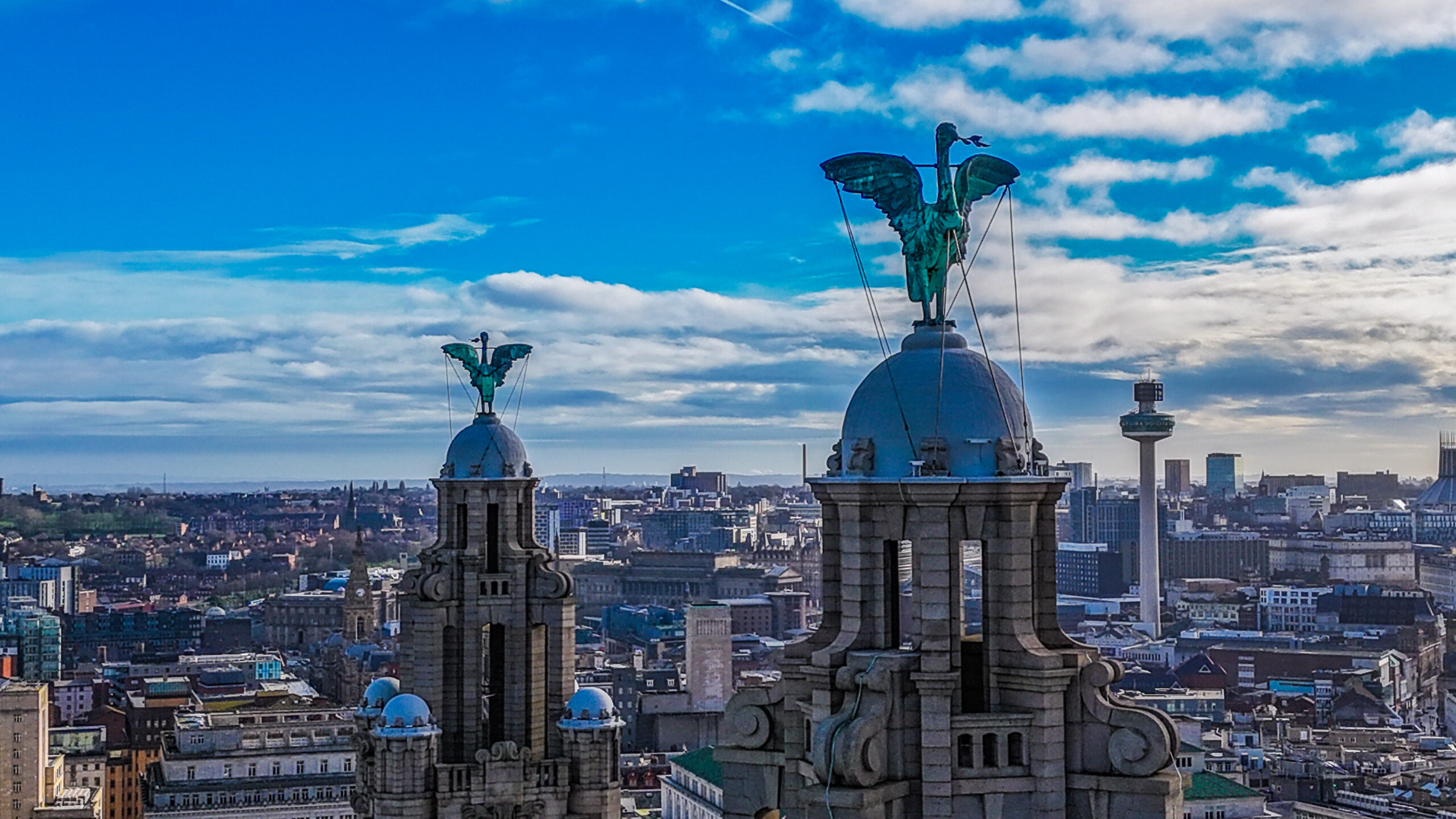 HEARN'S HISTORY: THE LIVER BIRDS OF LIVERPOOL! - La Vida Liverpool